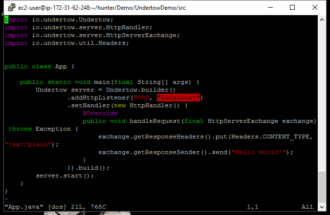 Hello World via Undertow | Hunter's Code